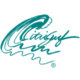 citrisurf logo teal reg 160sq | Stellar Solutions - Stainless Steel ...
